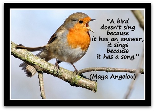 Maya Angelou – Coaching Confidence